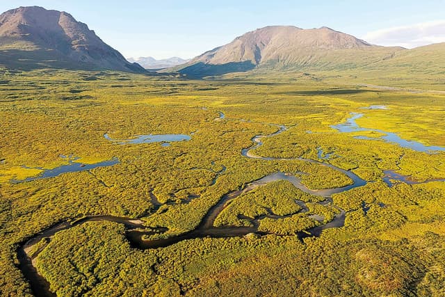 The march of the beaver into the Arctic - WWF Arctic