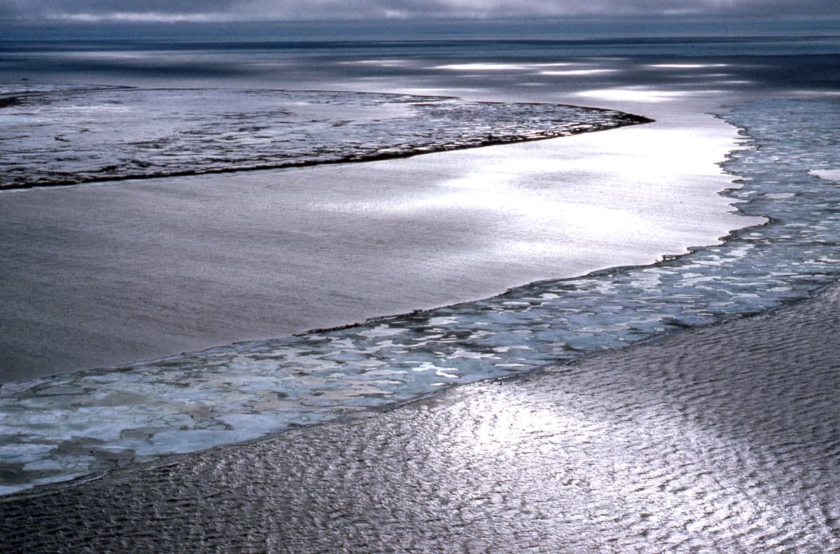 The ice crisis: Protecting Arctic Sea ice to save our planet - WWF Arctic