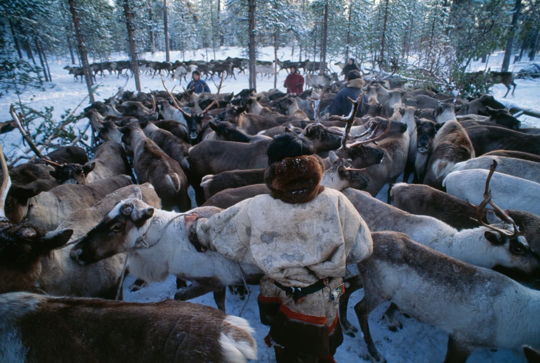 Arctic communities - WWF Arctic