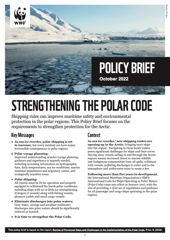Policy brief | Strengthening the Polar Code - WWF Arctic