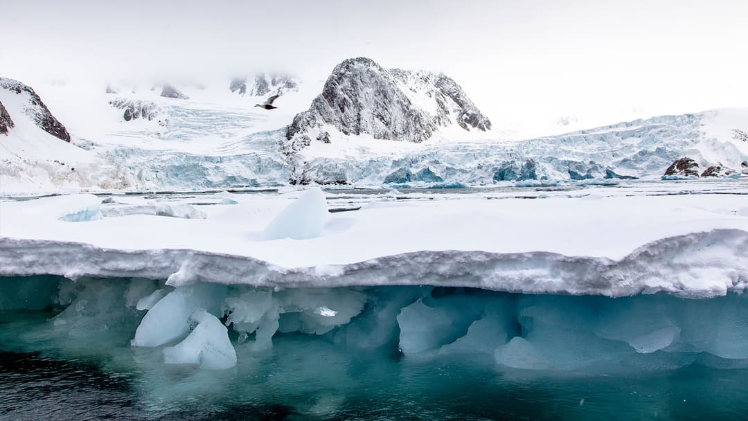 Central Arctic Ocean Fisheries Agreement - WWF Arctic
