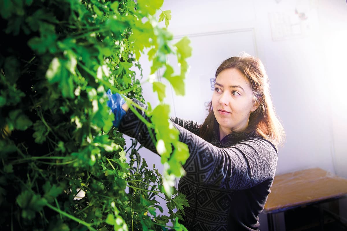 Partnering with an Alaskan Native village to design climate-resilient ...