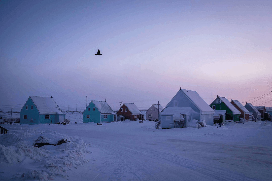 Stepping up cooperation and climate action to protect polar bears - WWF ...