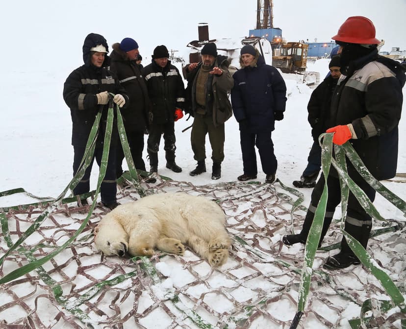 Extractivism is damaging Arctic ecosystems and warming the global ...