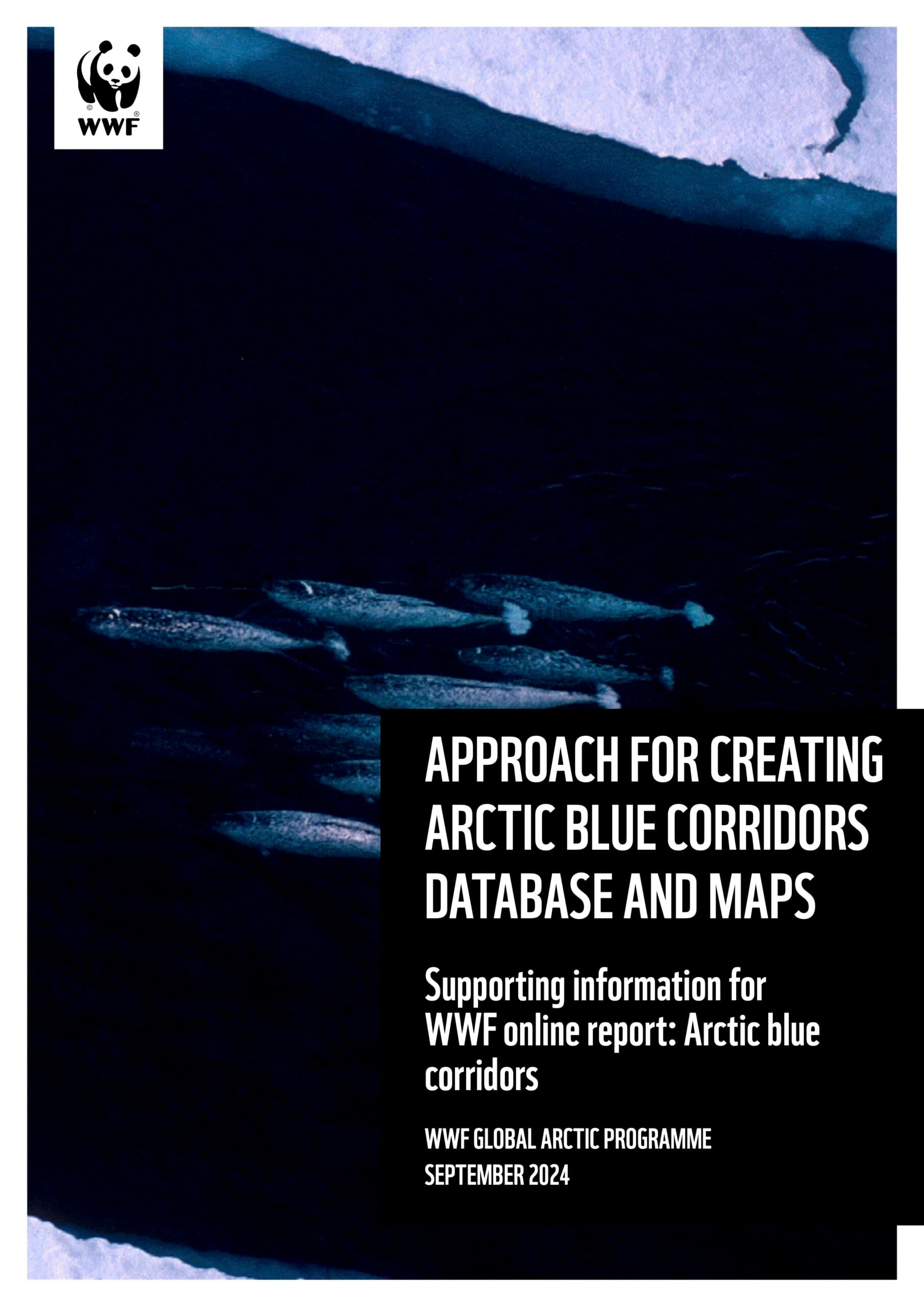 Online report | Arctic blue corridors - WWF Arctic
