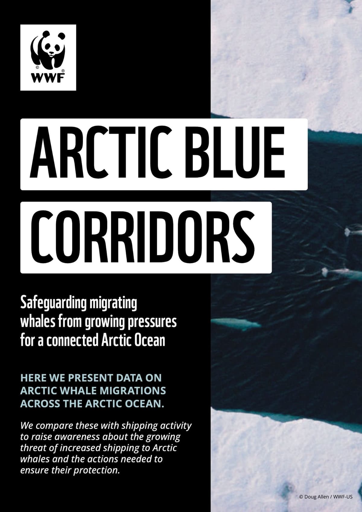 Online report | Arctic blue corridors - WWF Arctic