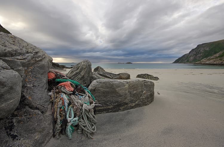 Tackling pollution and waste in the Arctic - WWF Arctic