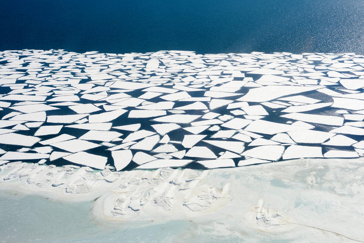 Arctic sea ice maximum: Crisis as ice melts and risks rise - WWF Arctic