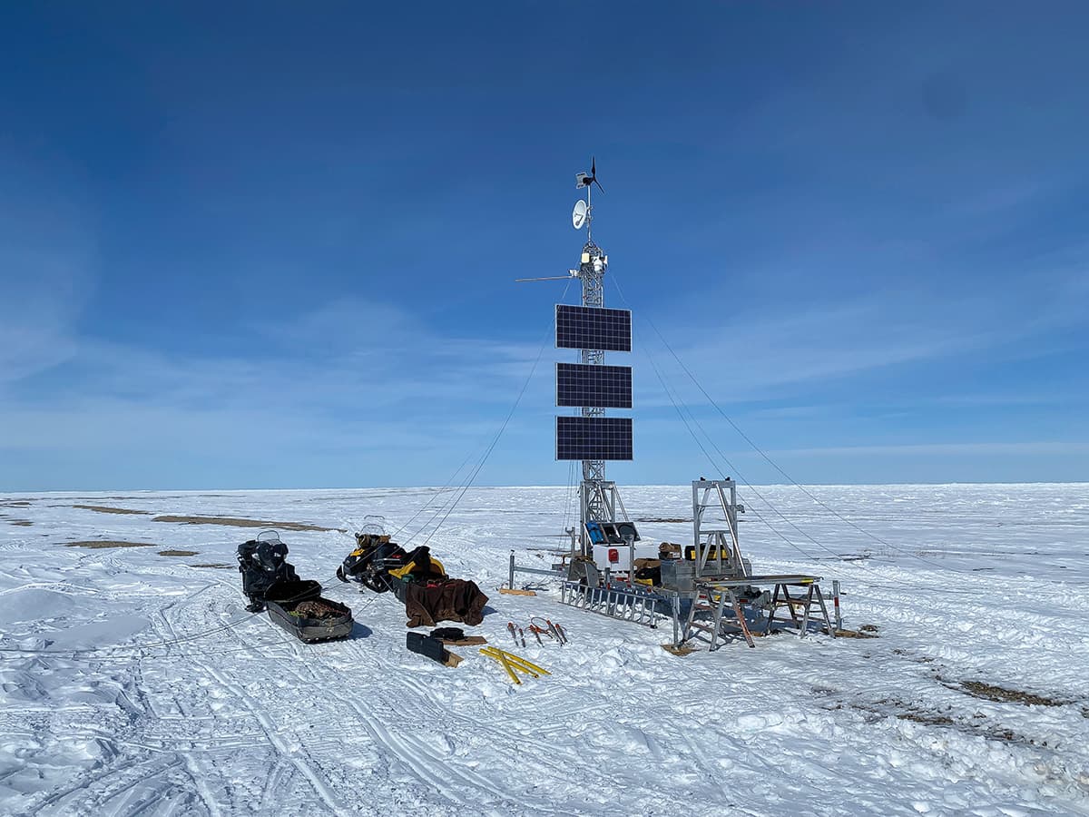 Stepping up cooperation and climate action to protect polar bears - WWF ...