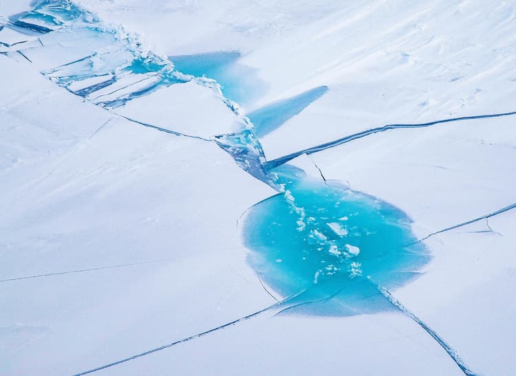 Arctic Council and national governance - WWF Arctic