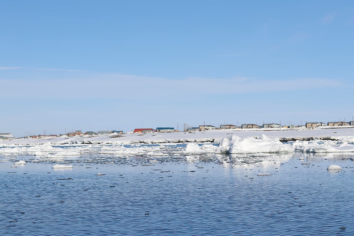 Tackling pollution and waste in the Arctic - WWF Arctic