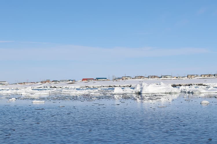 Teaching radar how to see polar bears - WWF Arctic