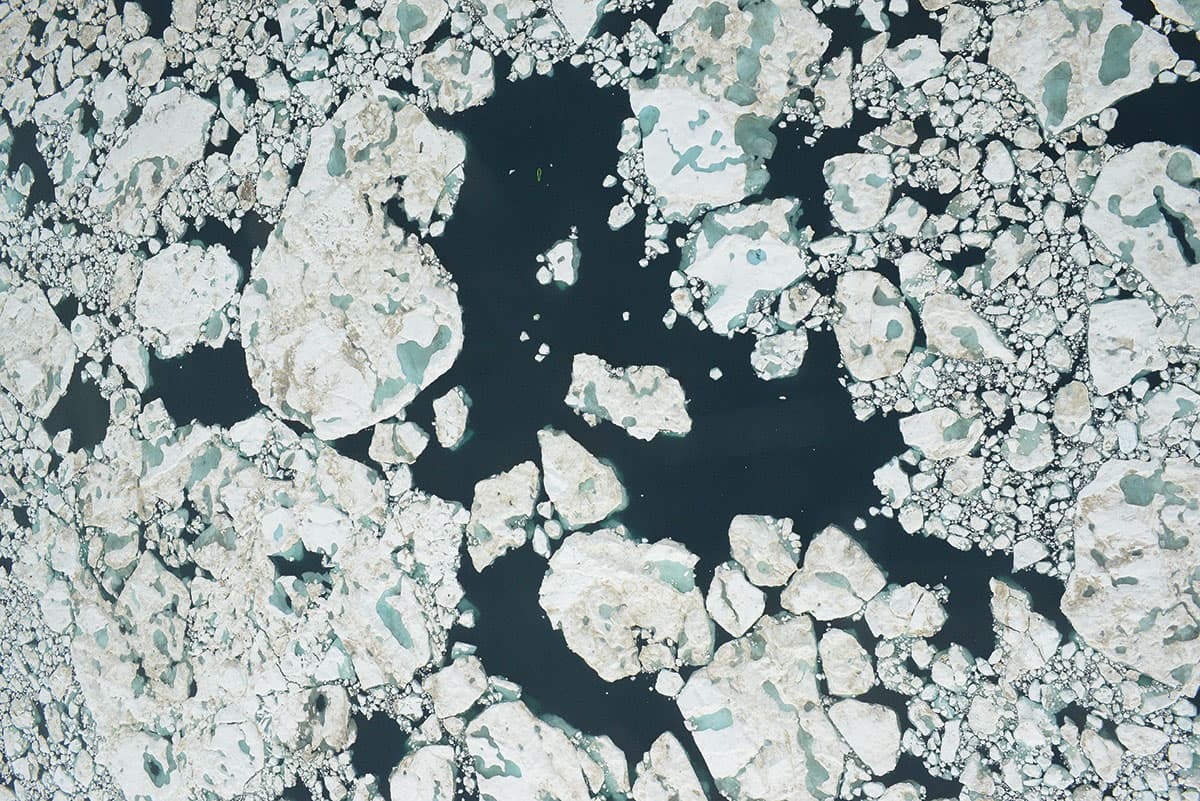 Monitoring whale migration from space - WWF Arctic