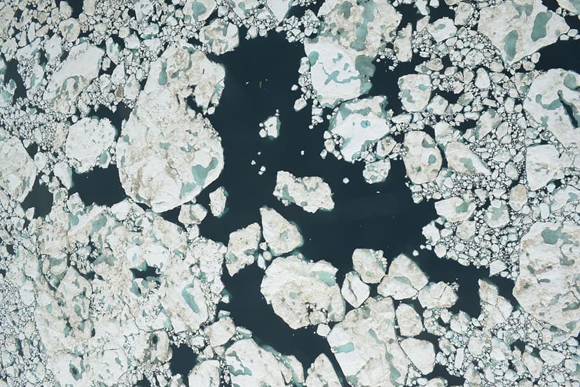 Beluga whale | Habitat and migration - WWF Arctic