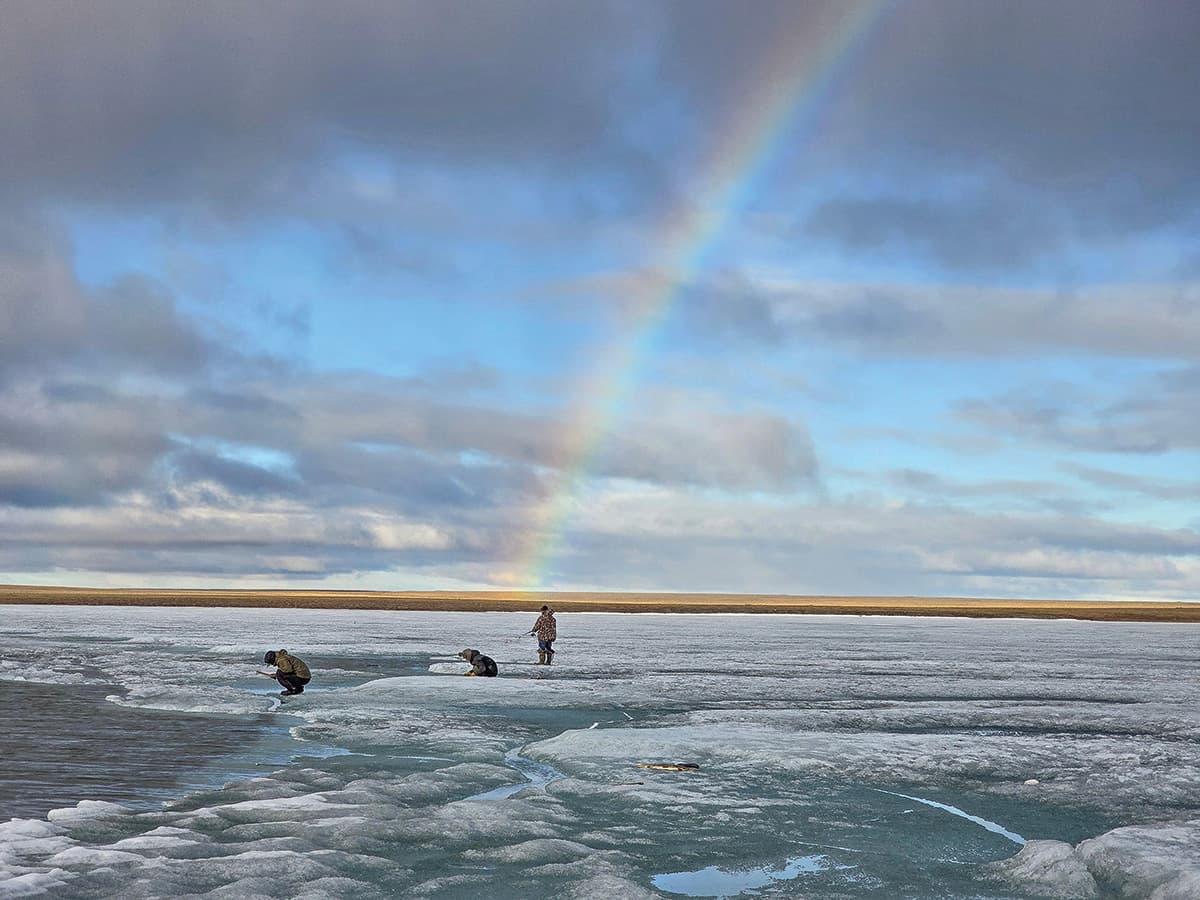 Navigating a changing ice world - WWF Arctic
