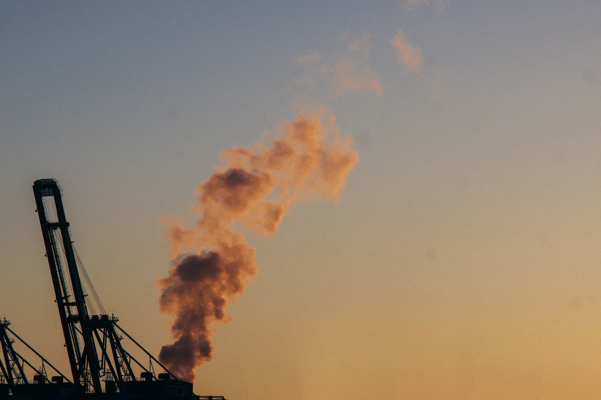 Biodiversity and nature - WWF Arctic