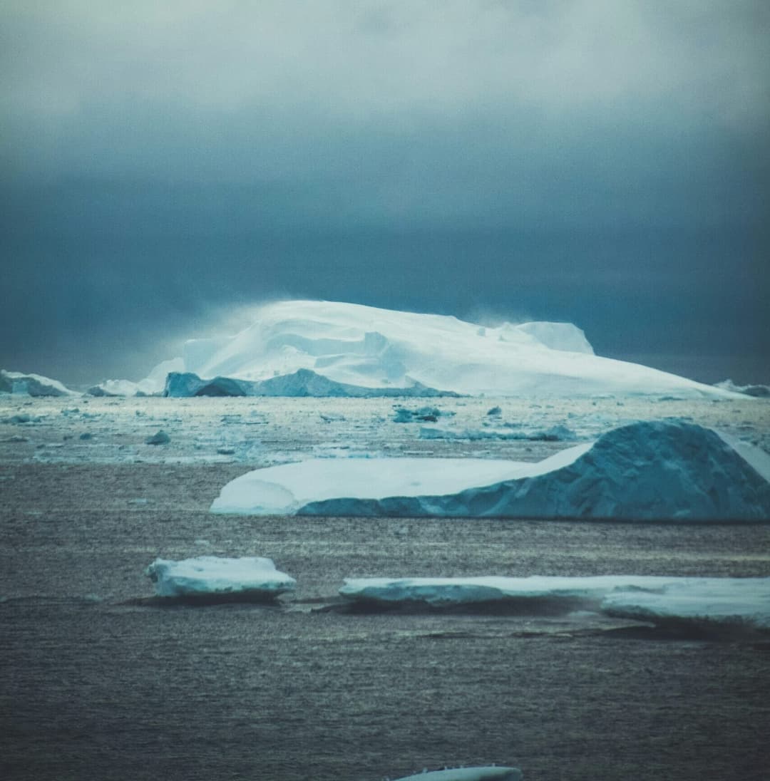 The Arctic - WWF Arctic