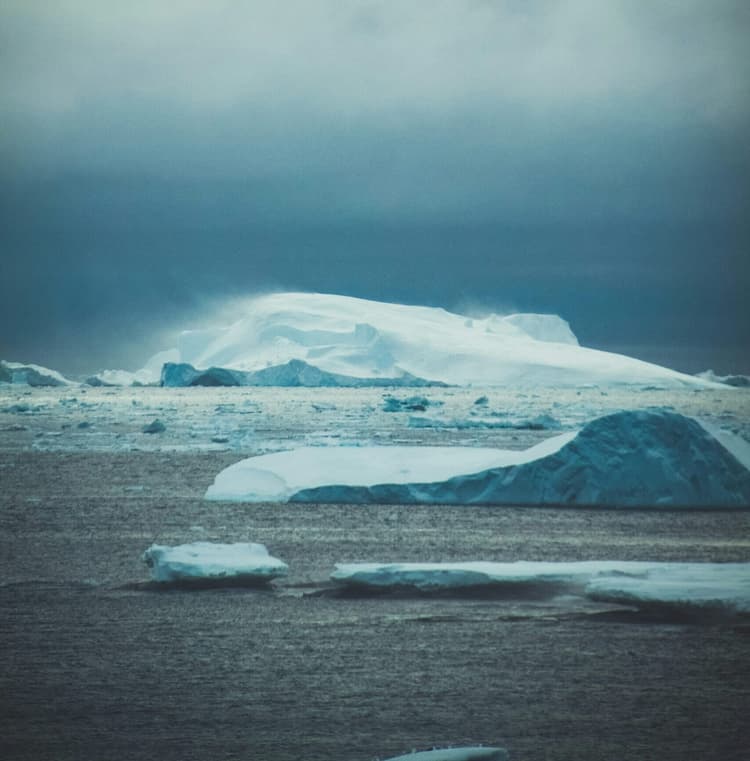 The Arctic - WWF Arctic