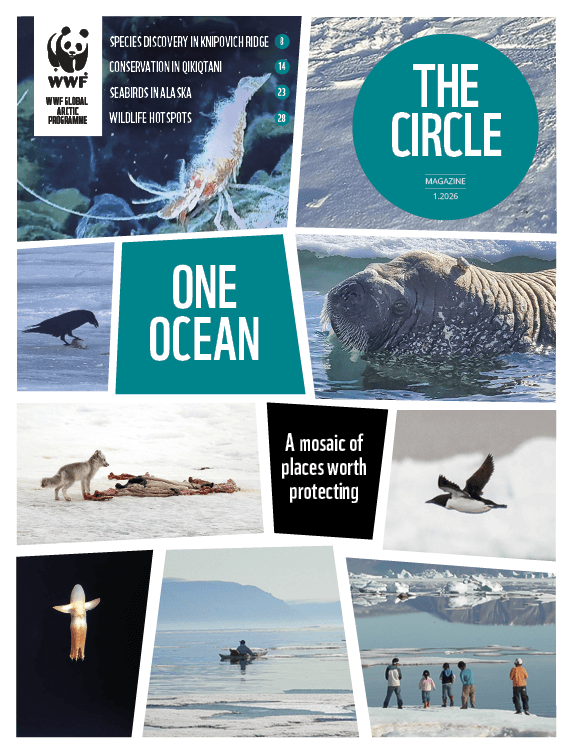 One ocean: a mosaic of places worth protecting - WWF Arctic