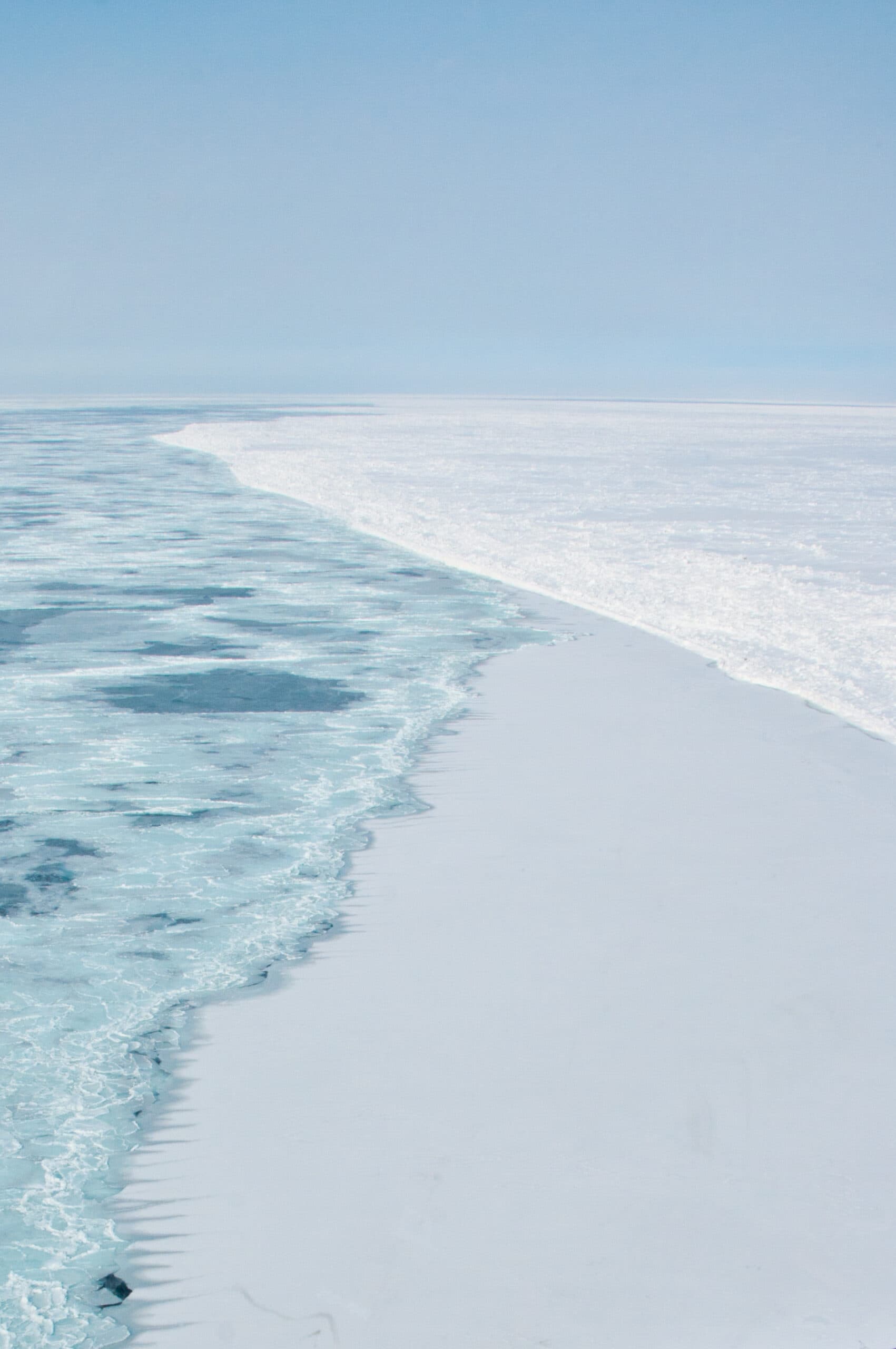 Arctic sea ice maximum: Crisis as ice melts and risks rise - WWF Arctic