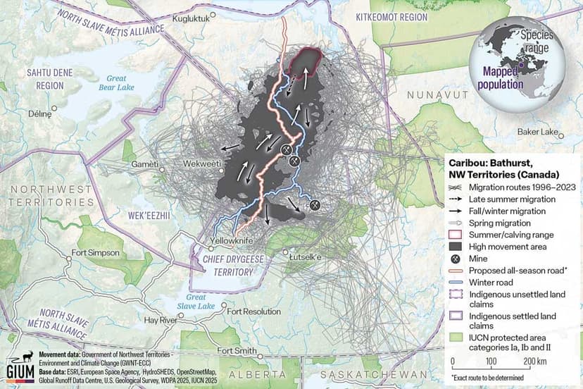 New maps show shrinking caribou migrations - WWF Arctic