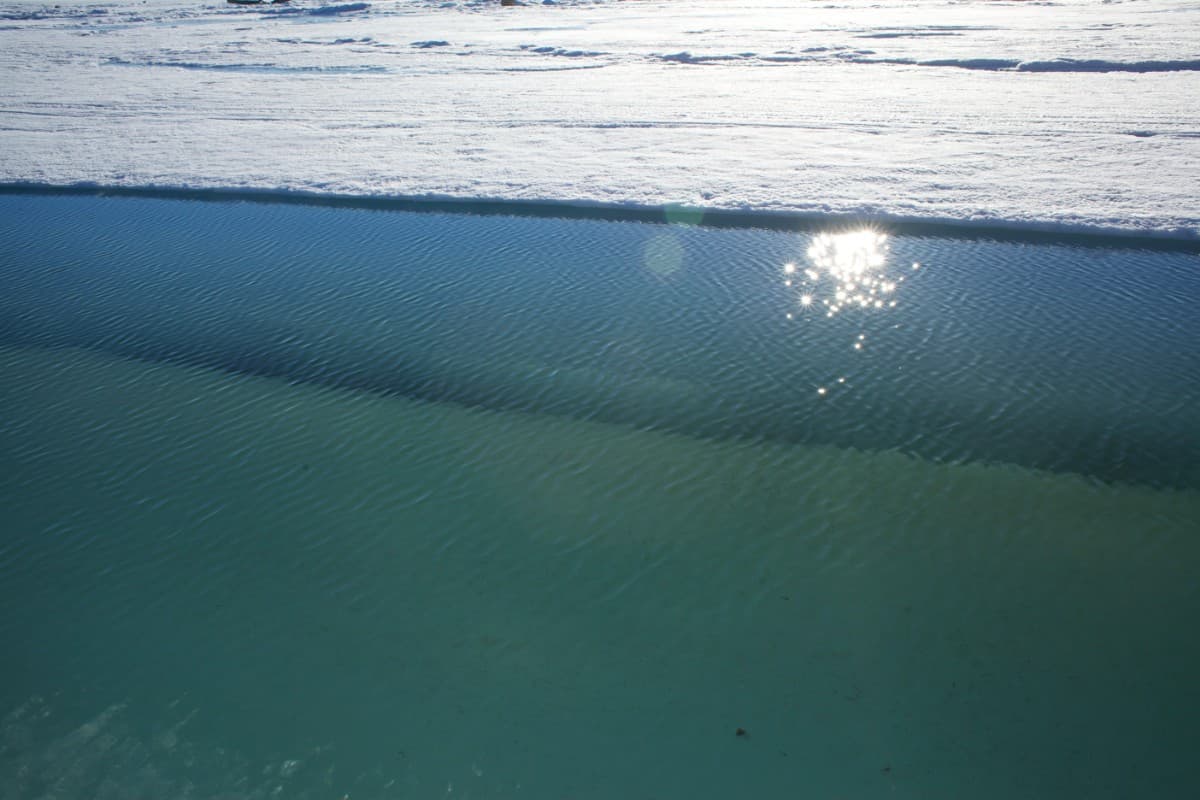 Last Ice Area - WWF Arctic