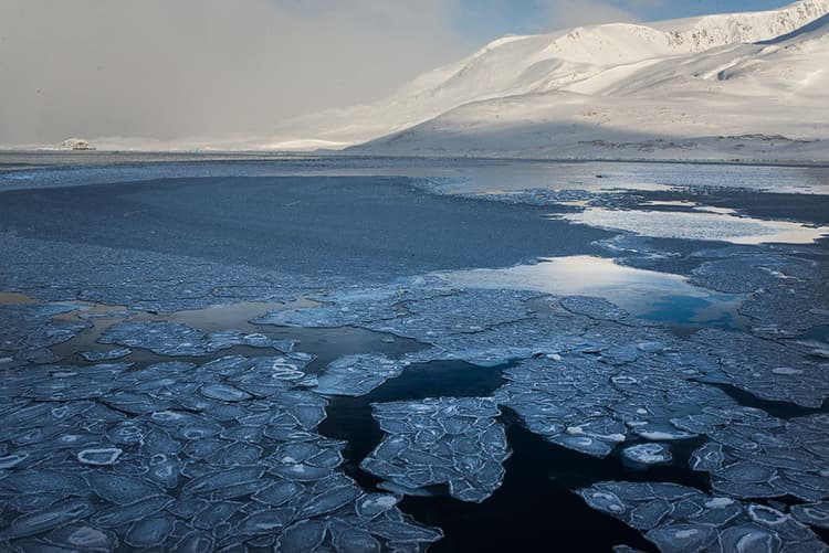The Blue Economy in Arctic communities - WWF Arctic