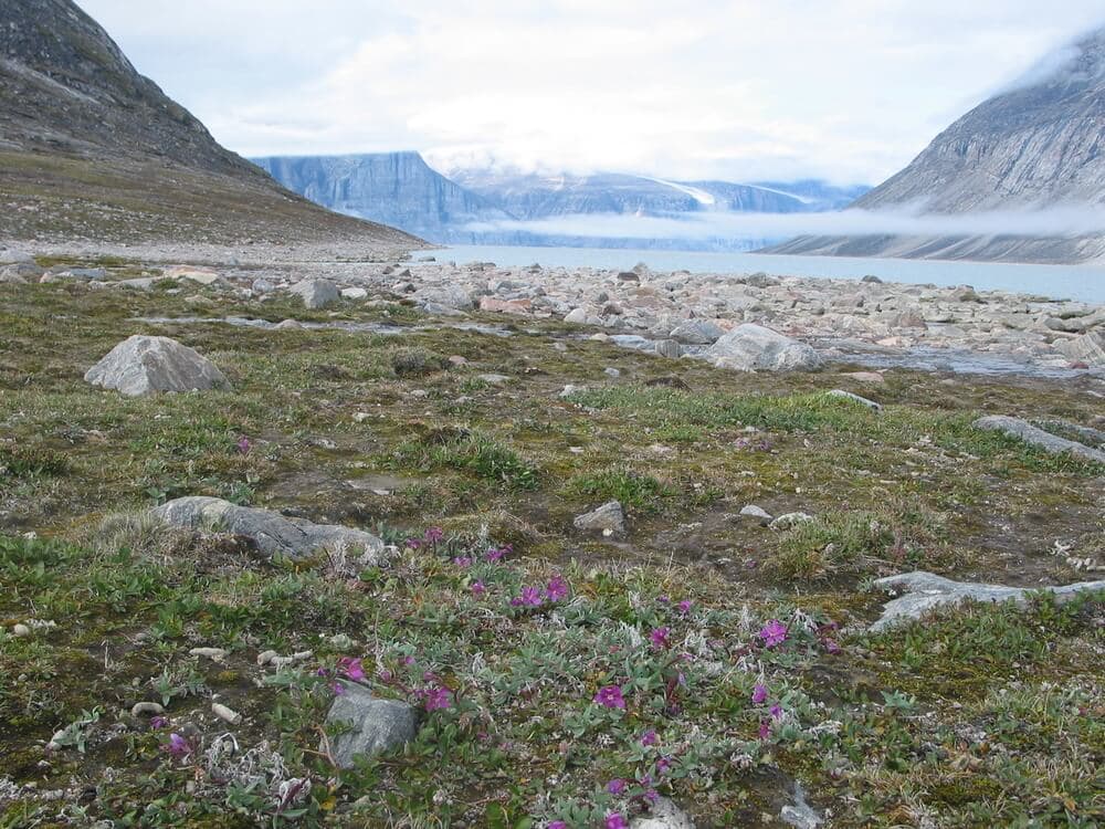 Everything is at risk: Rapidly changing climate threatens Arctic ...