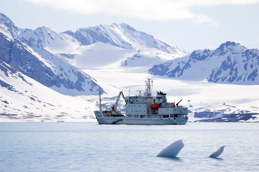 Climate change - WWF Arctic