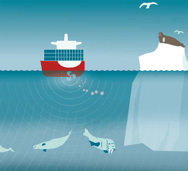 Infographic: Underwater noise - WWF Arctic