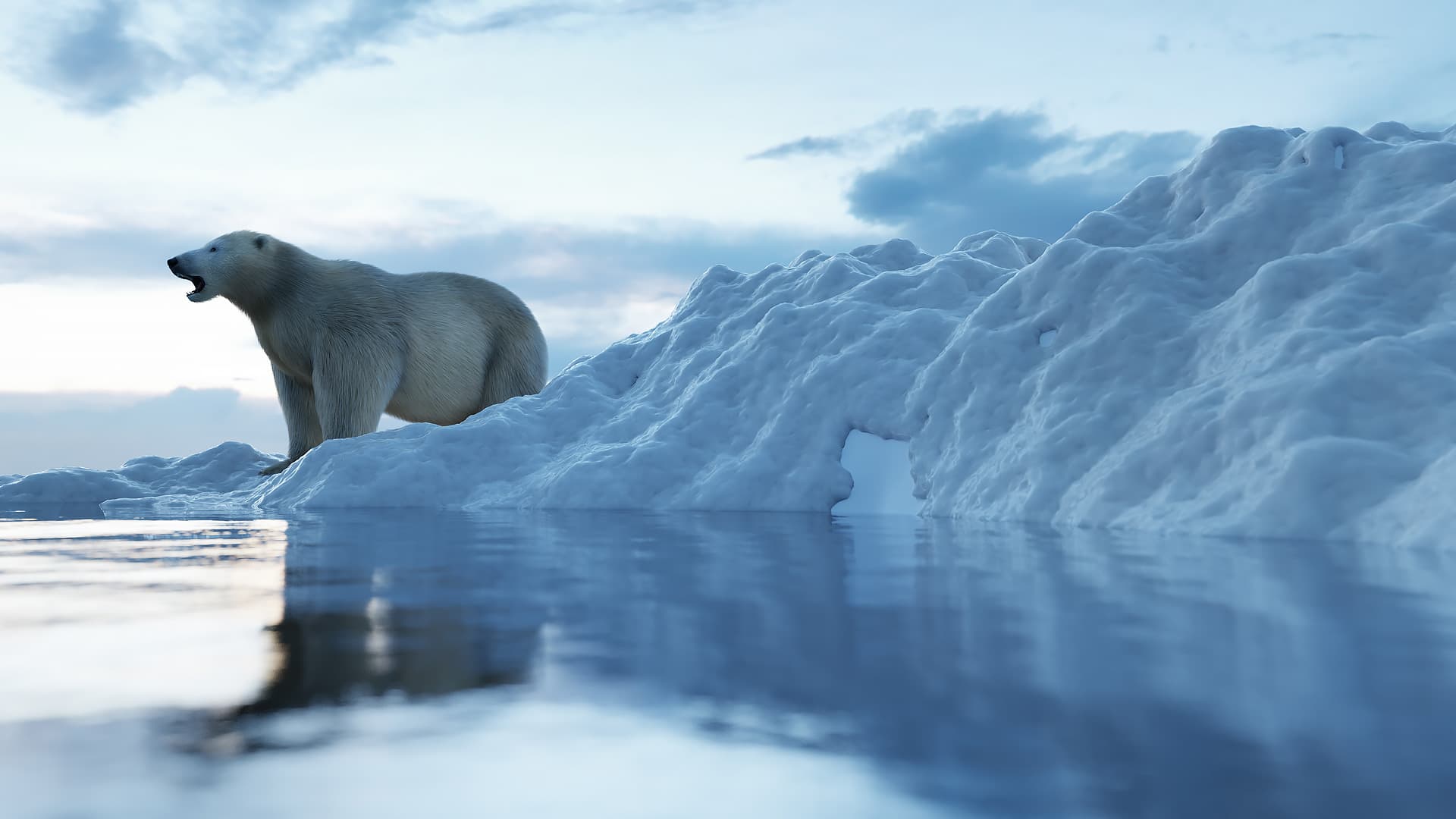 Polar bear - WWF Arctic