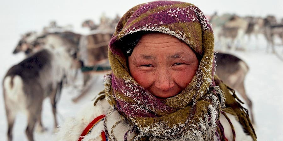 Reindeer and caribou - WWF Arctic