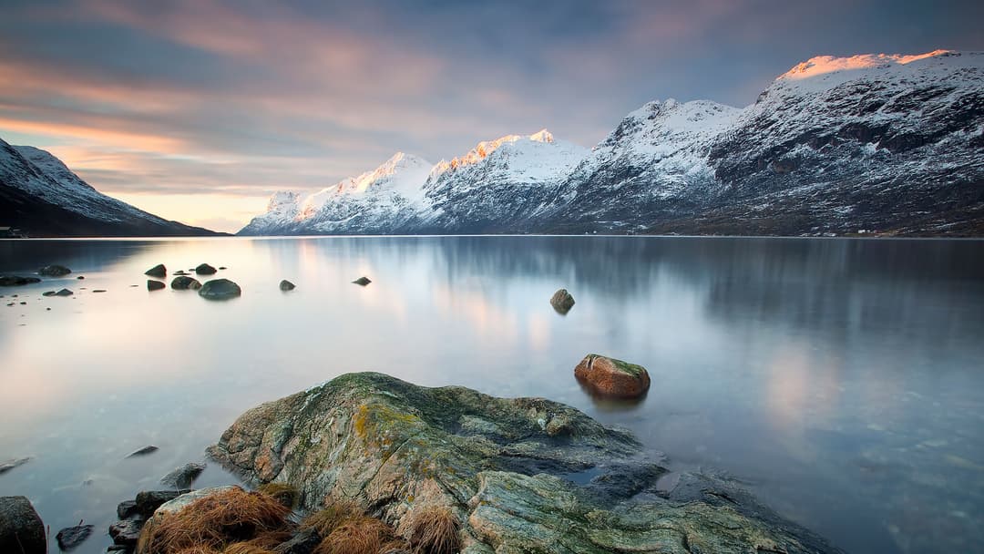 The Arctic - WWF Arctic