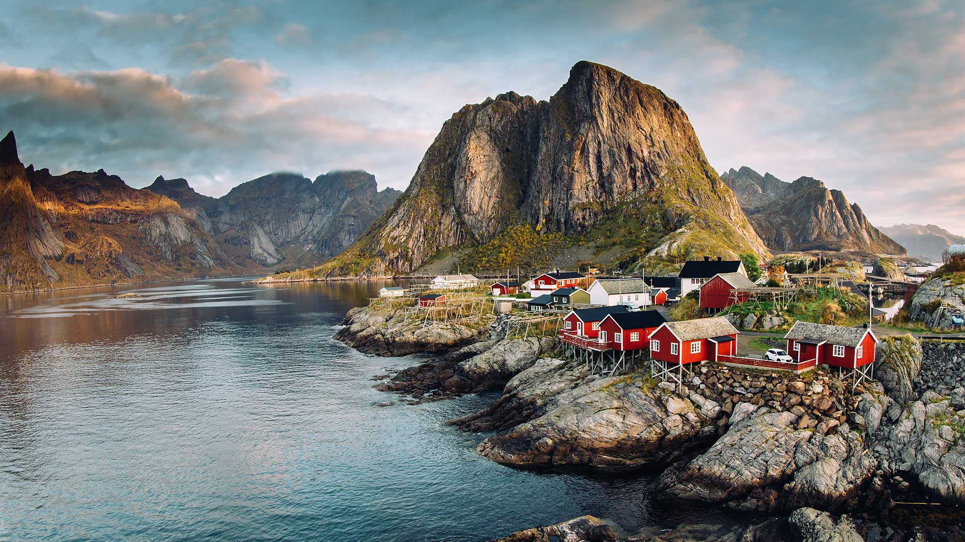 The Arctic - WWF Arctic