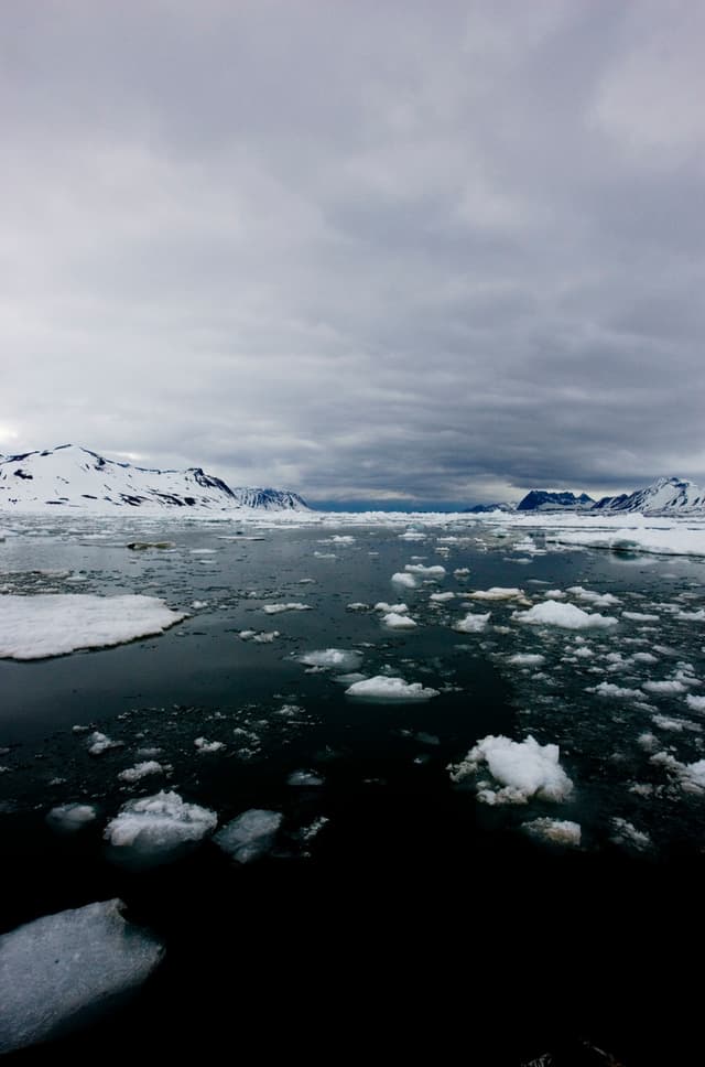 Arctic blue corridors - WWF Arctic