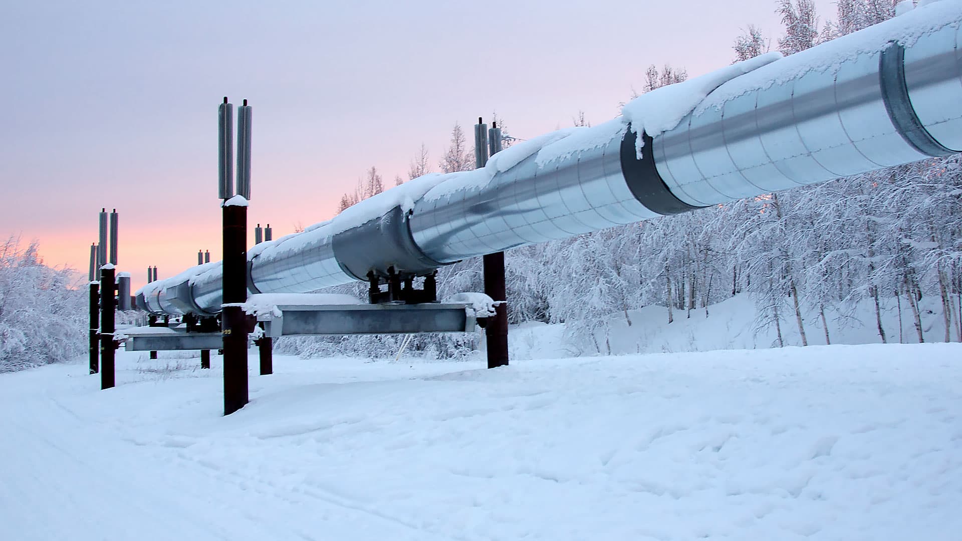 Oil and gas - WWF Arctic