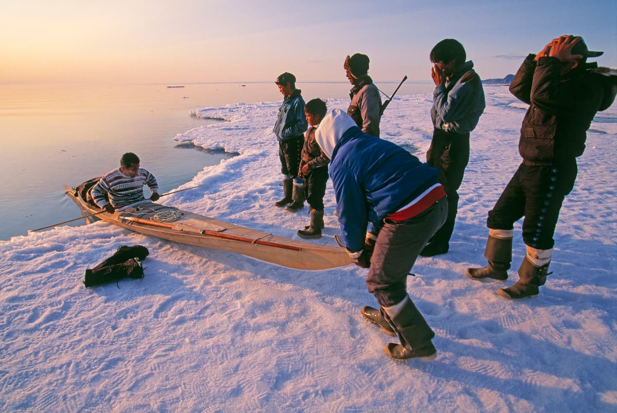 The ice crisis: Protecting Arctic Sea ice to save our planet - WWF Arctic