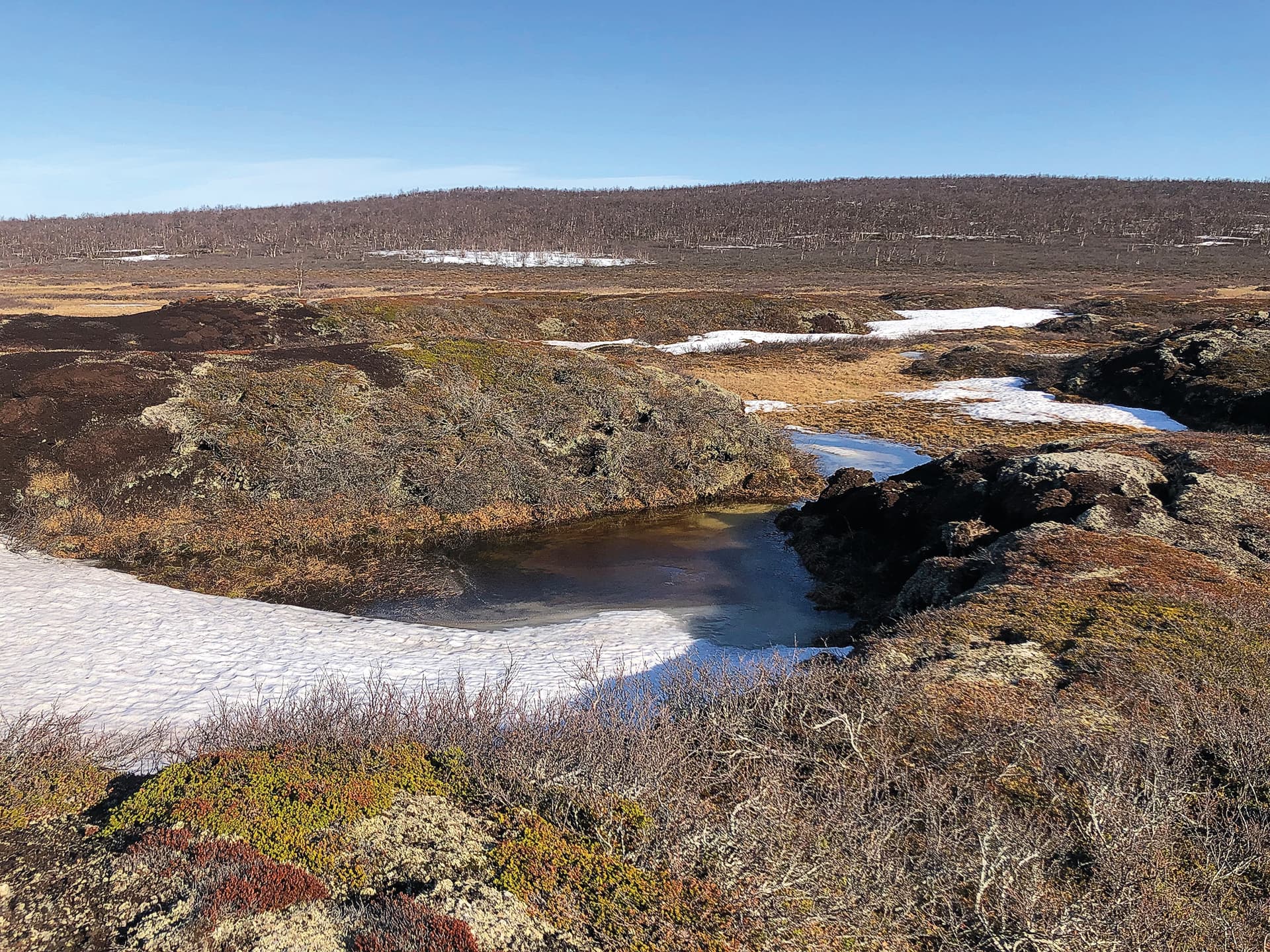 Working together to protect migration routes, breeding sites and ...