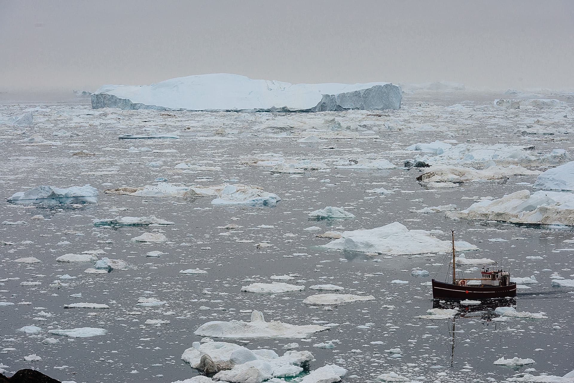 Working together to protect migration routes, breeding sites and ...
