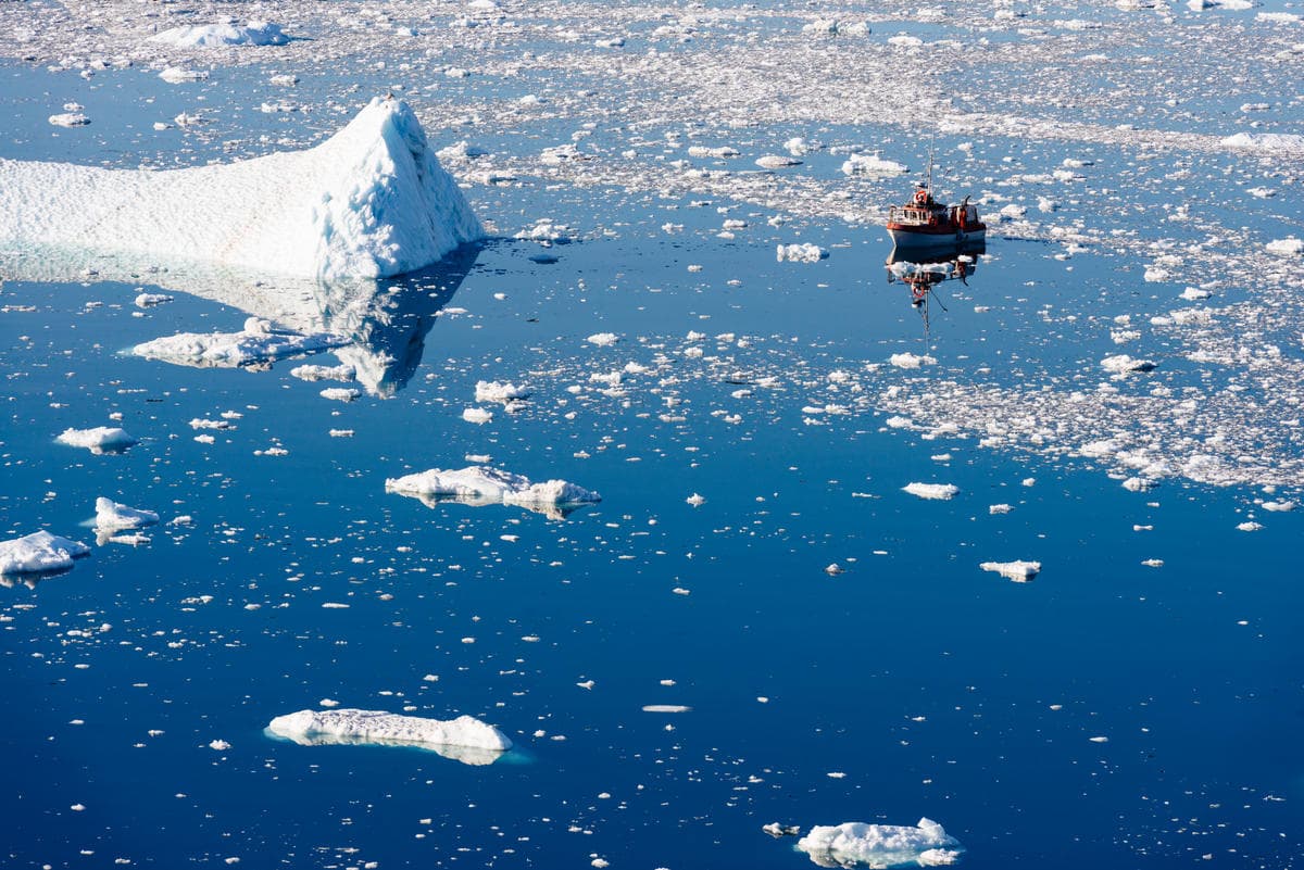 WWF's Recommendations for CAOFA Implementation - WWF Arctic