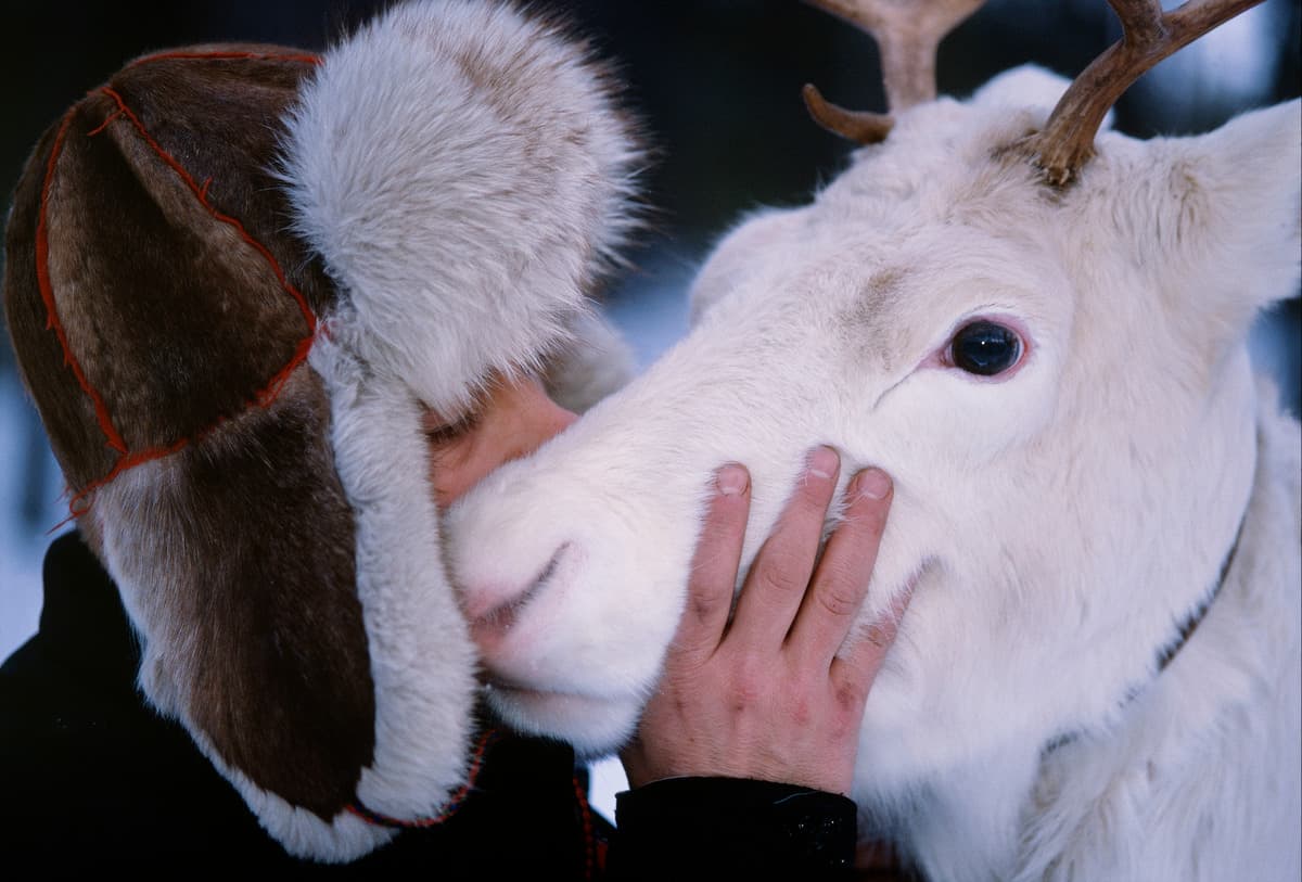 Climate change and green colonialism in the Sápmi - WWF Arctic