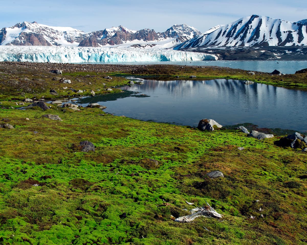 Oil and gas - WWF Arctic