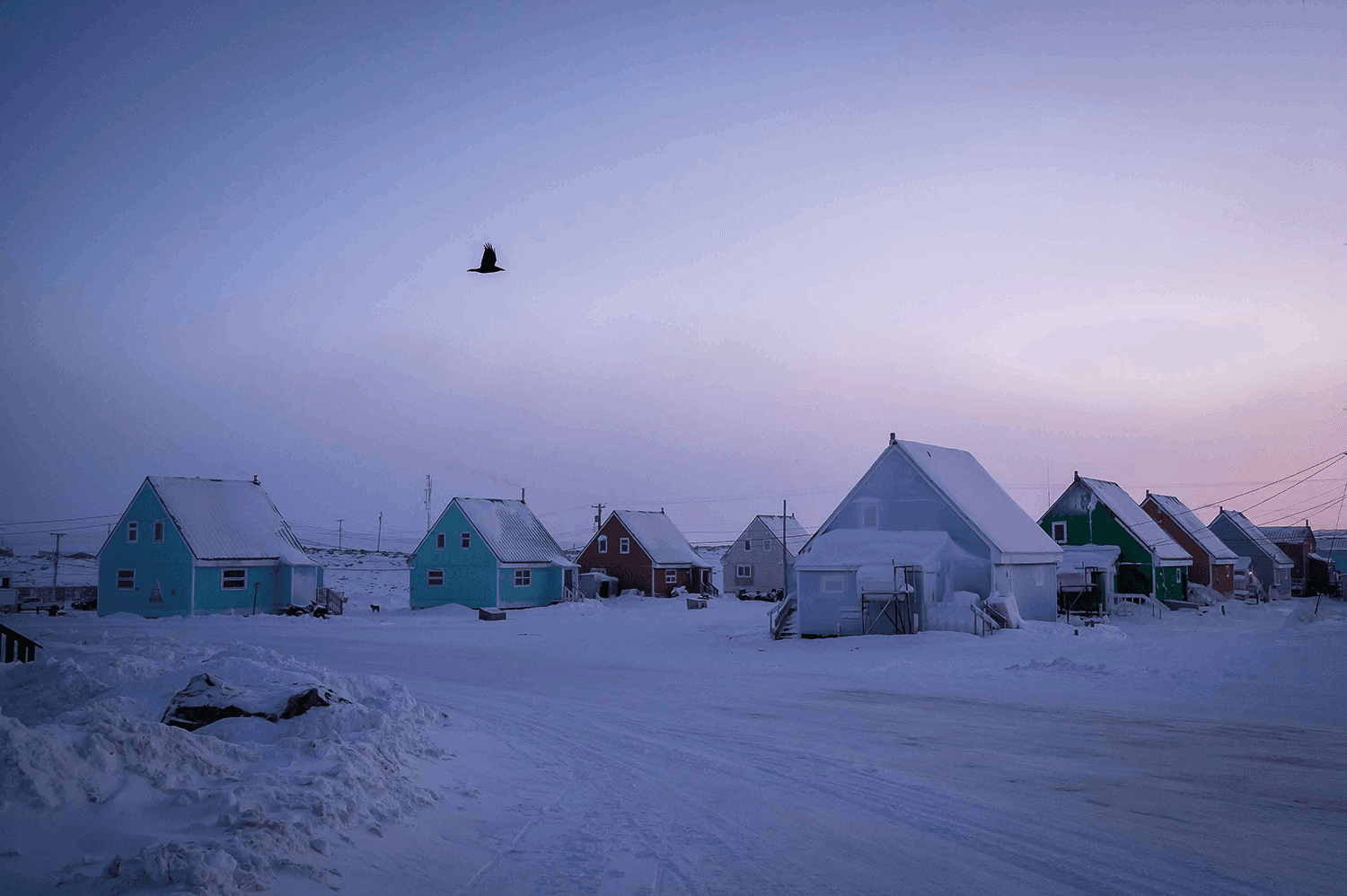 Svalbard’s polar bears are doing just fine—for now - WWF Arctic