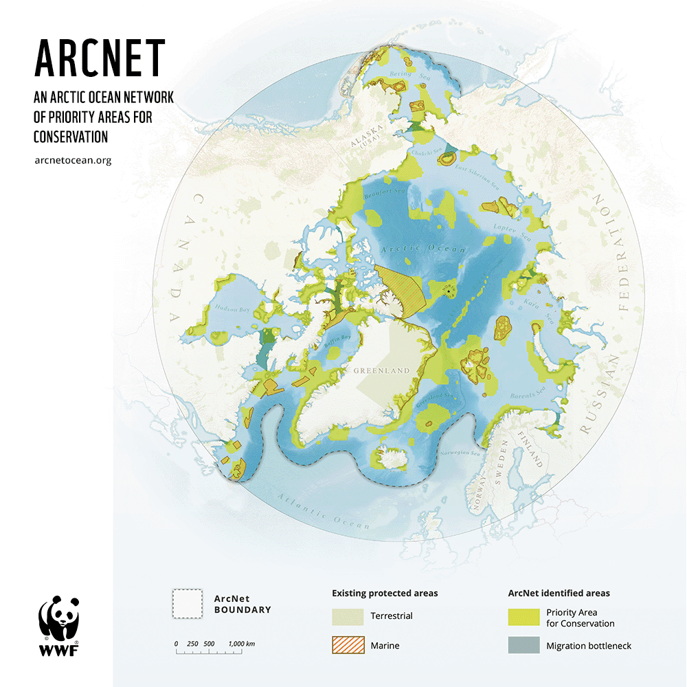 Arctic blue corridors - WWF Arctic