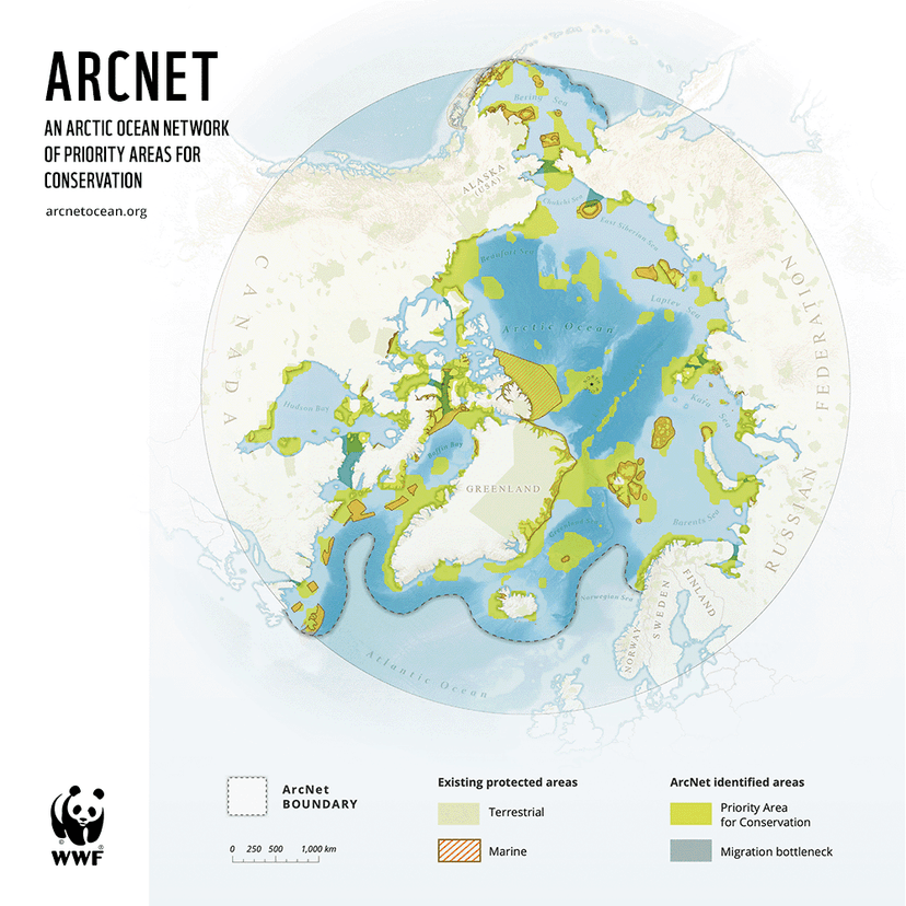 Wildlife - WWF Arctic