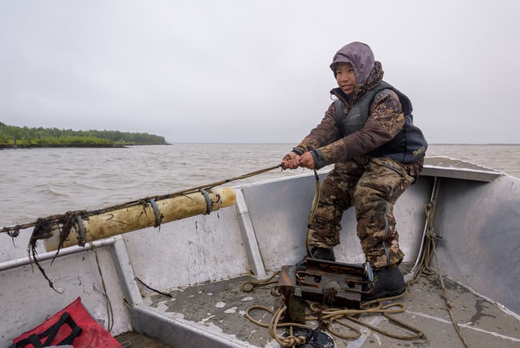 Oceans at COP16: Protecting Arctic marine biodiversity through ArcNet ...