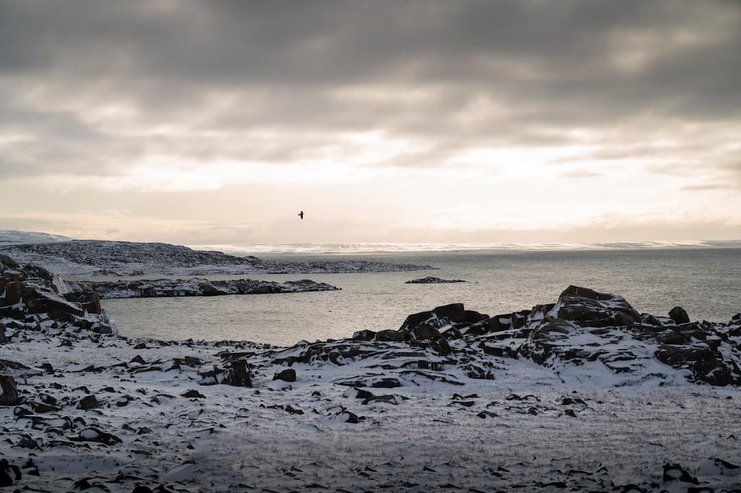Supporting Inuit-led conservation in Nunavut - WWF Arctic