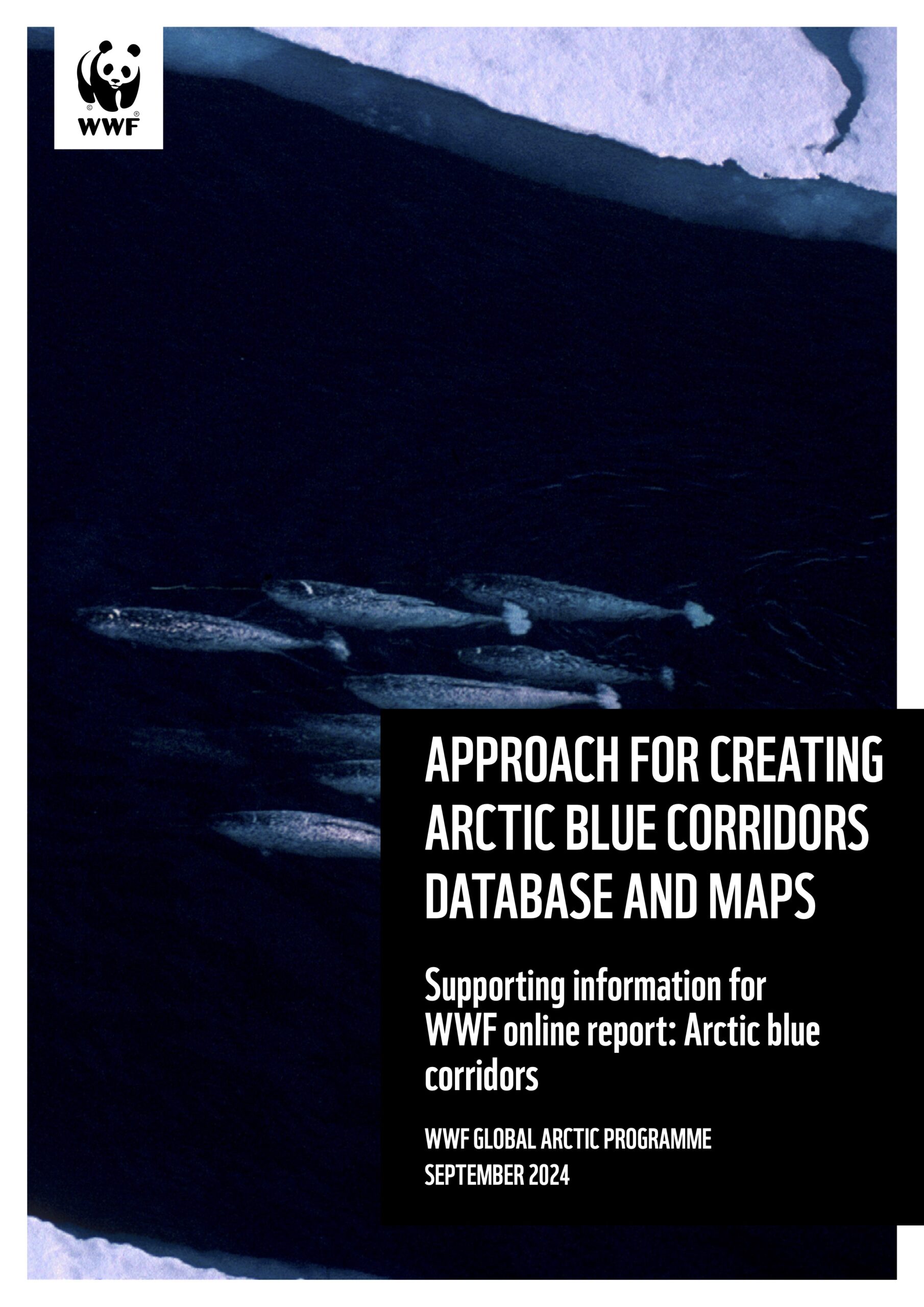 Beluga whale | Habitat and migration - WWF Arctic