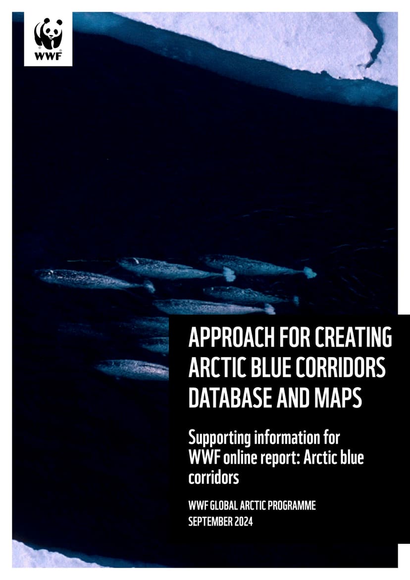 Beluga whale - WWF Arctic