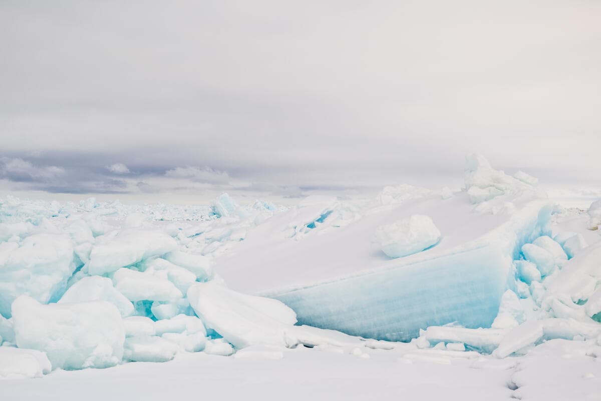 New data on the Last Ice Area: Insights from Bruno Tremblay - WWF Arctic